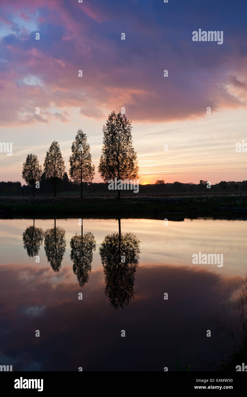 Tree near lake hi-res stock photography and images - Alamy