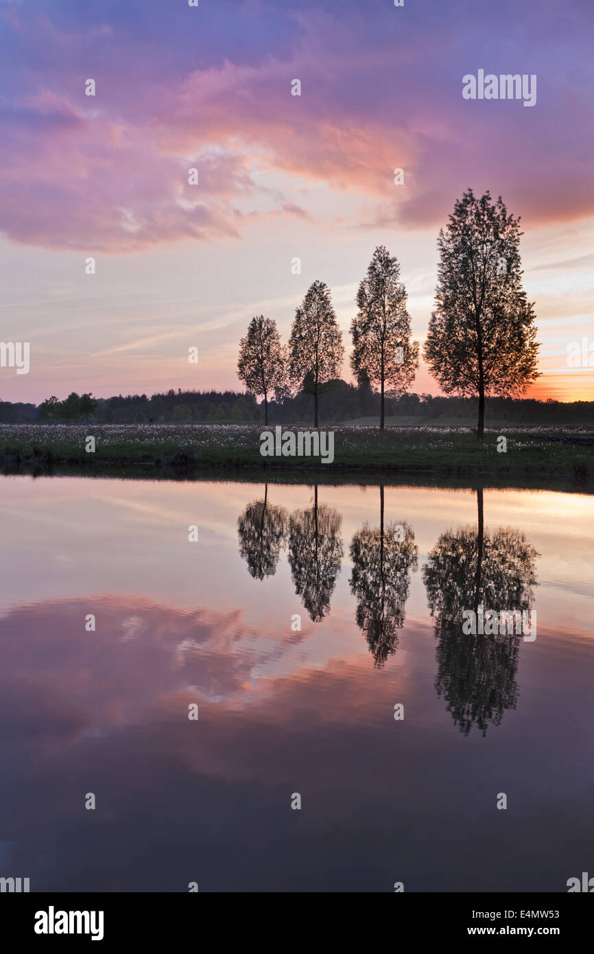 Tree near lake hi-res stock photography and images - Alamy