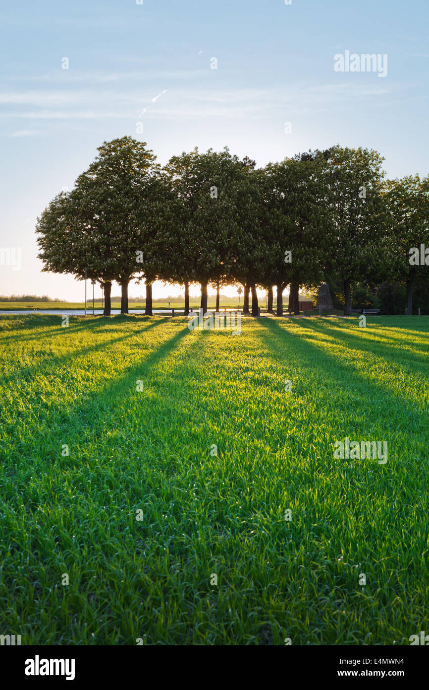 A summer landscape Stock Photo - Alamy