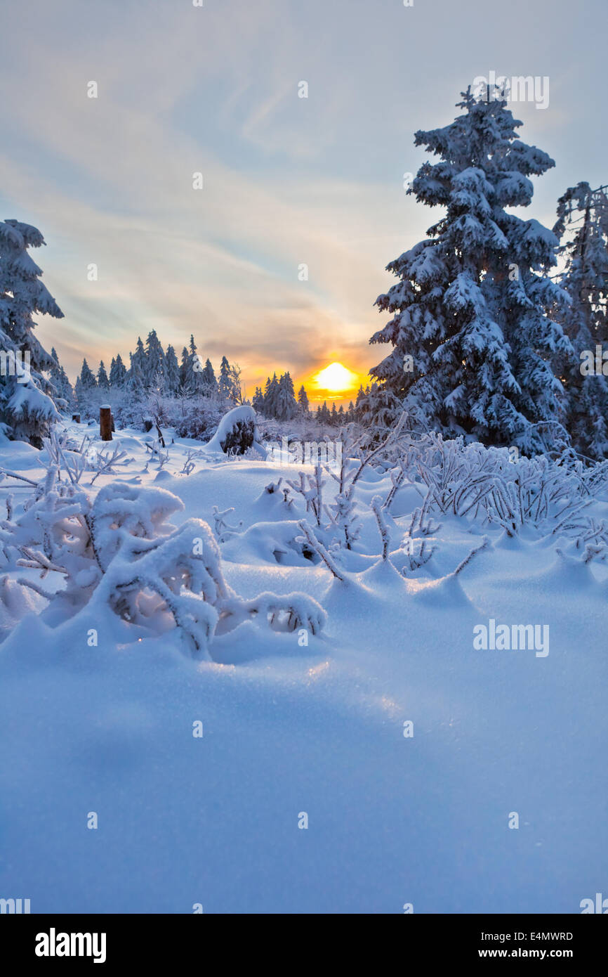 Harz nature park in winter hi-res stock photography and images - Alamy