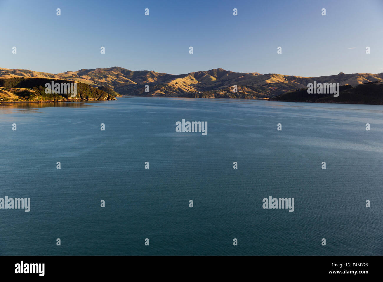 Entering Akaroa Harbour Stock Photo - Alamy