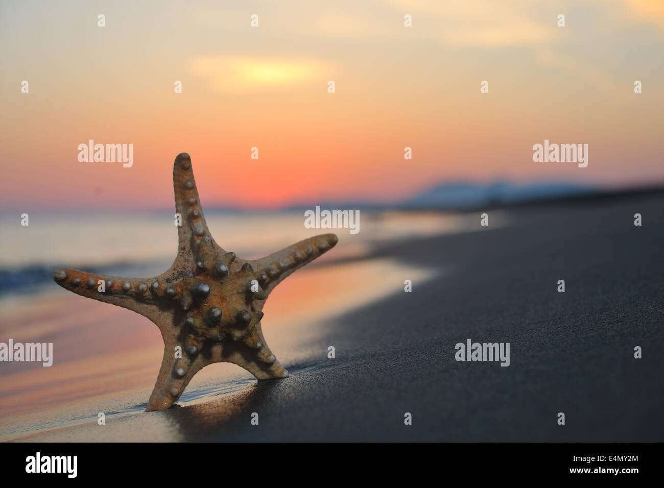 summer beach sunset with star on beach Stock Photo - Alamy