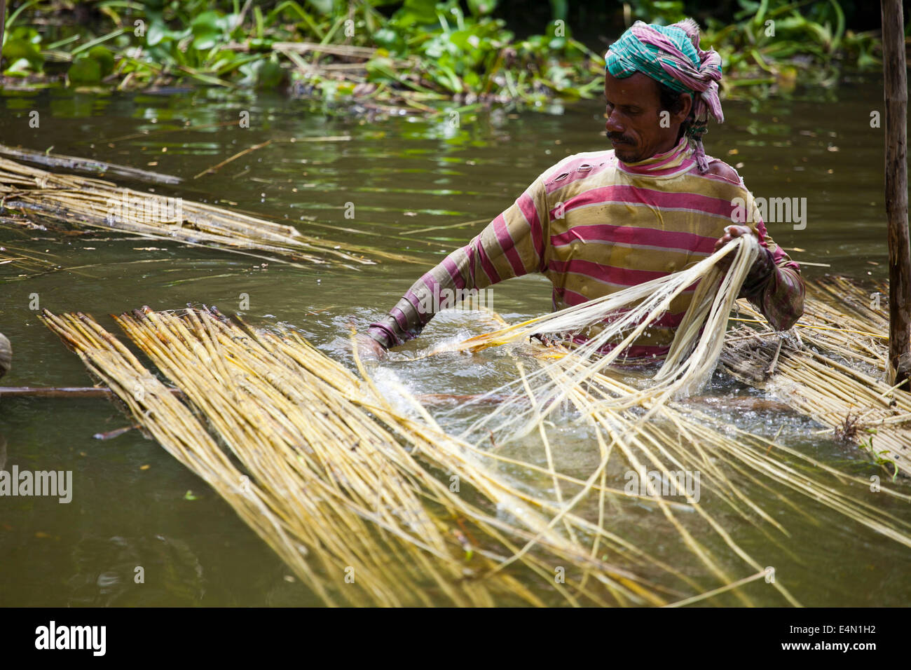 Jute process in bangladesh hi-res stock photography and images - Alamy
