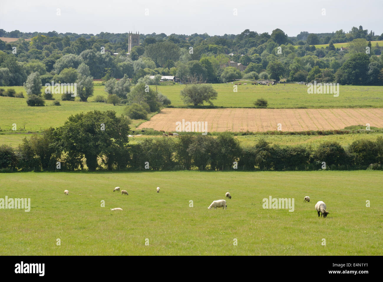 Landscape of suffolk east anglia Stock Photo - Alamy