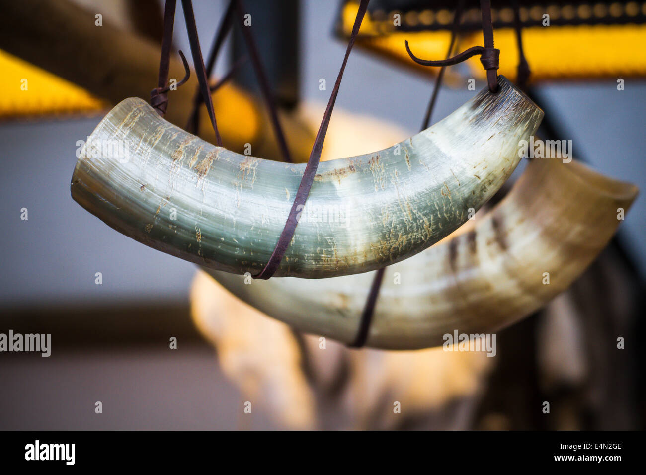 old hunting horns, used to call Stock Photo - Alamy