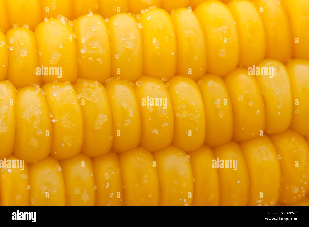 boiled corn with salt closeup Stock Photo - Alamy