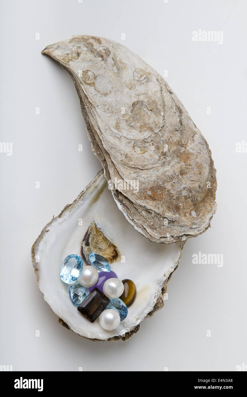 Treasure on a shell Stock Photo - Alamy