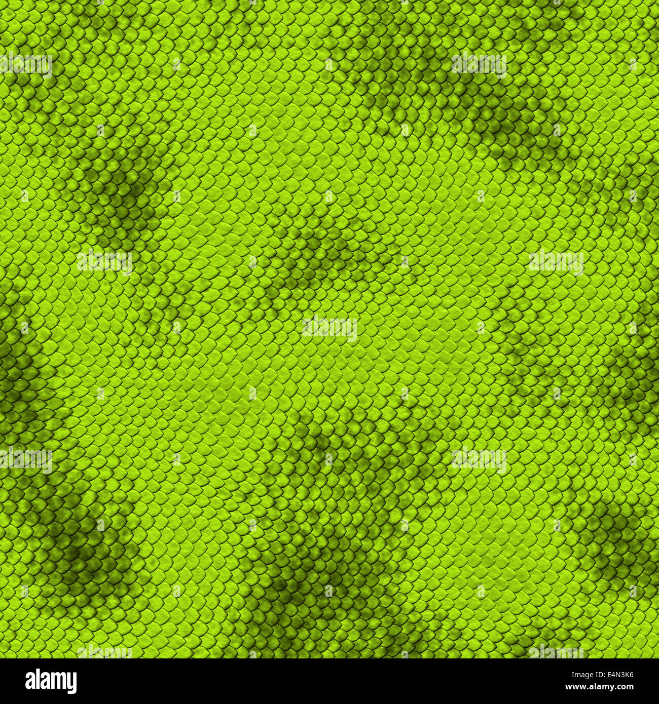 Snake texture hi-res stock photography and images - Alamy