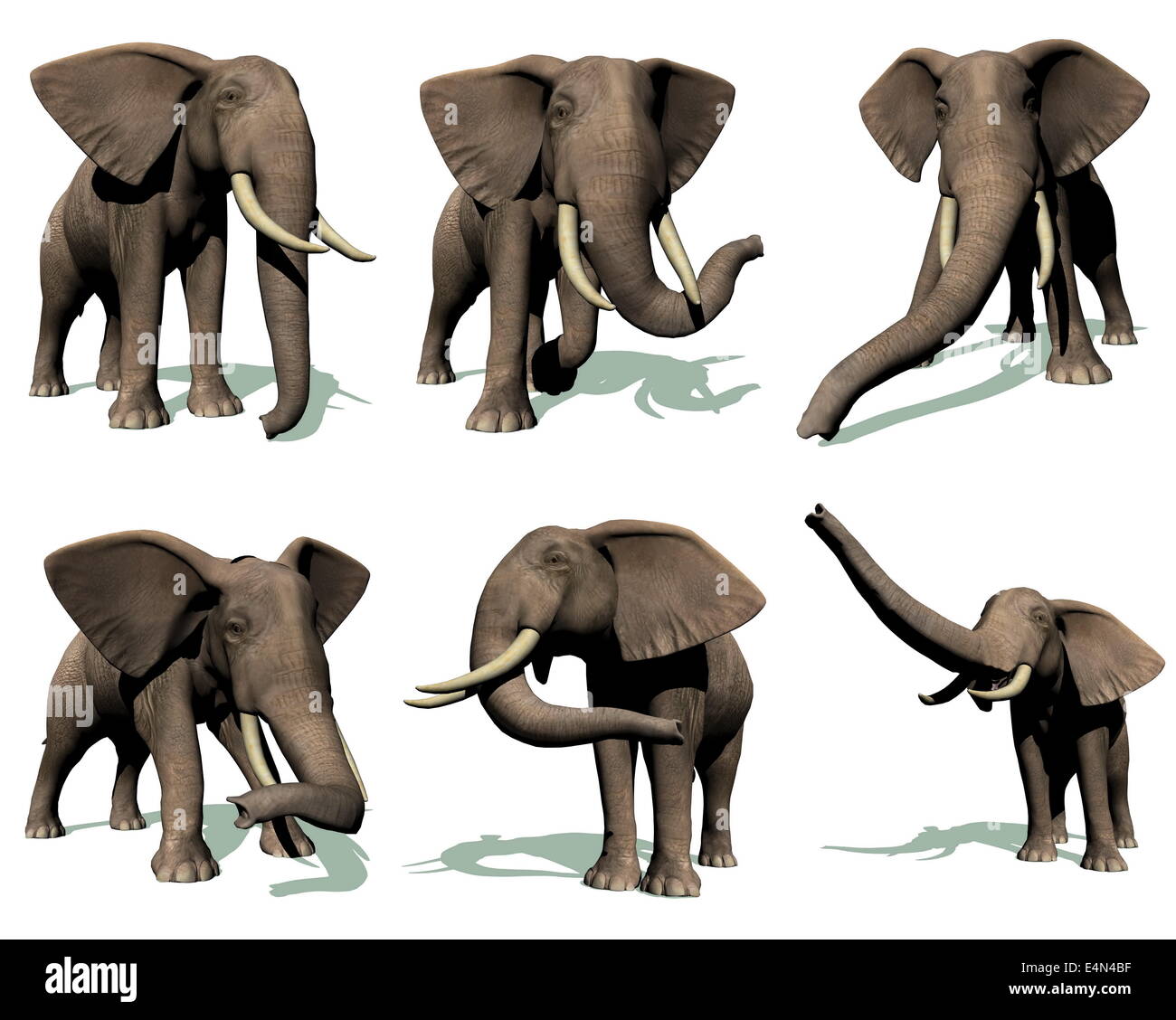 Set of elephants Stock Photo - Alamy