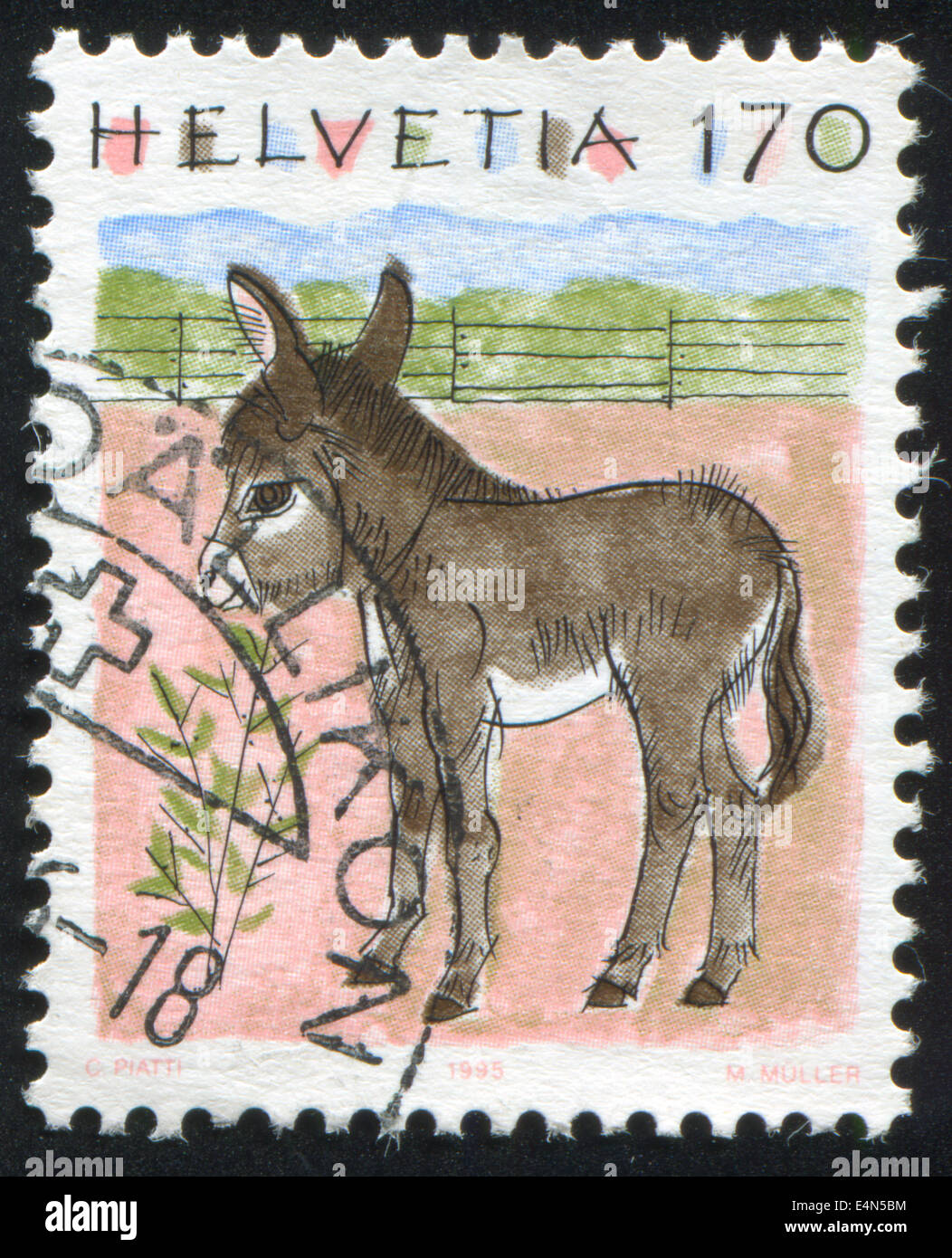 Donkey Leg High Resolution Stock Photography and Images - Alamy