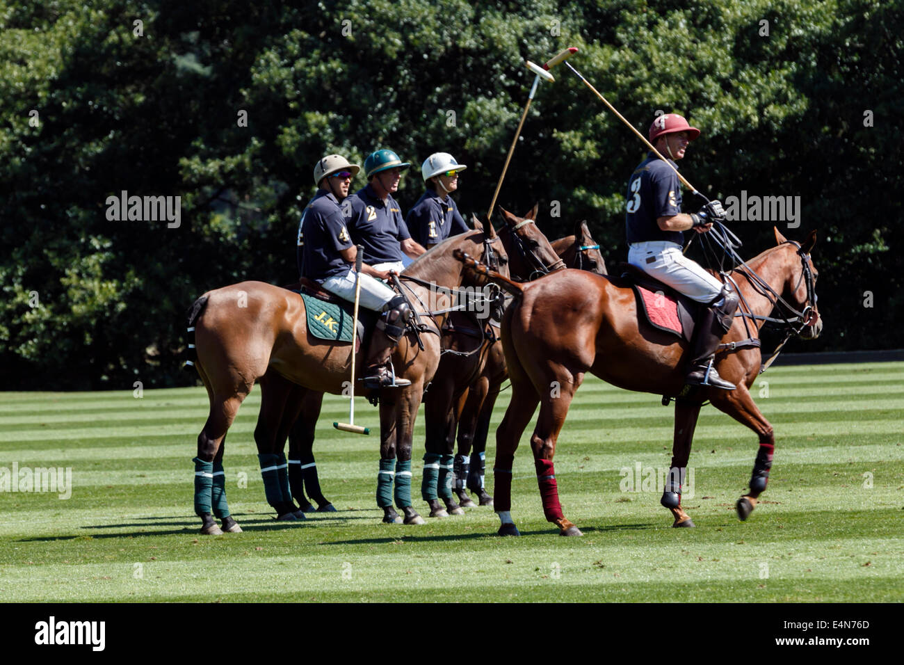 Polo match at Cowdray Park, Midhurst on 14-Jul-14 Stock Photo - Alamy