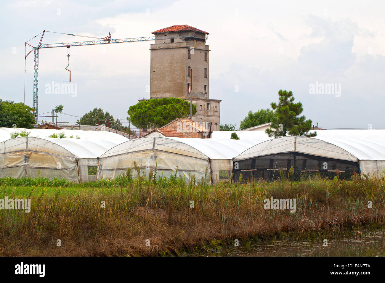 Nursery greenhouses hi-res stock photography and images - Alamy
