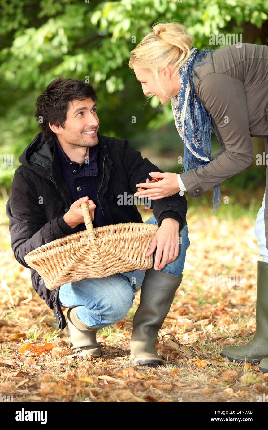 Couple picking chestnuts Stock Photo - Alamy