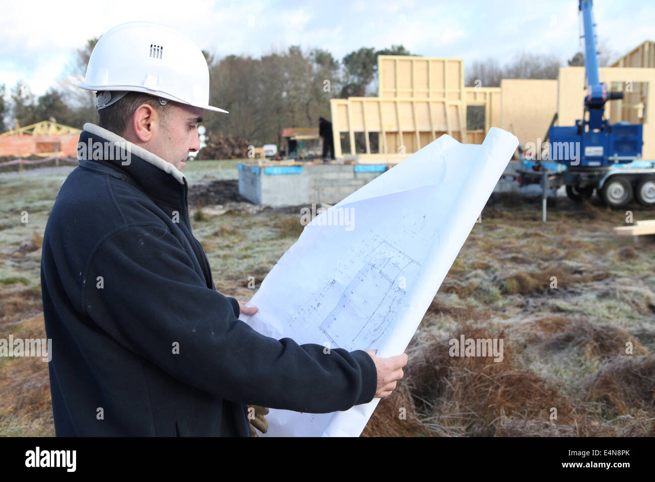 Construction worker examining a blueprint Stock Photo - Alamy