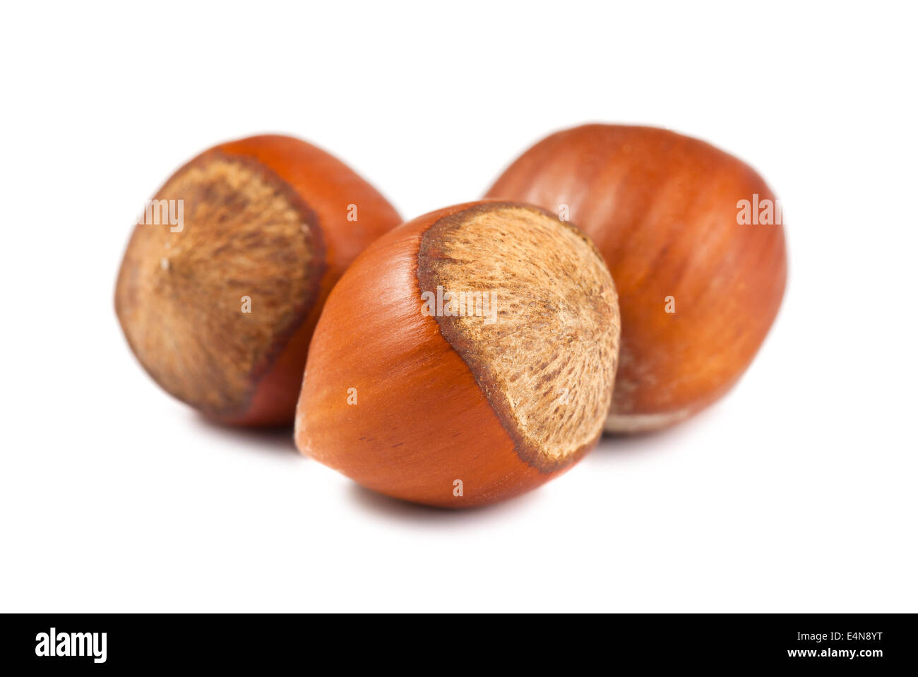 Three ripe hazelnuts Stock Photo - Alamy