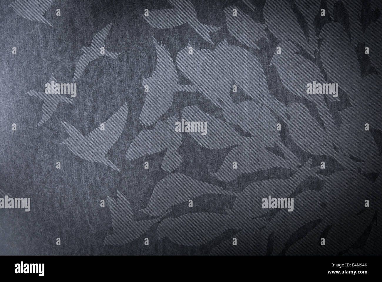 Abstract bird background hi-res stock photography and images - Alamy