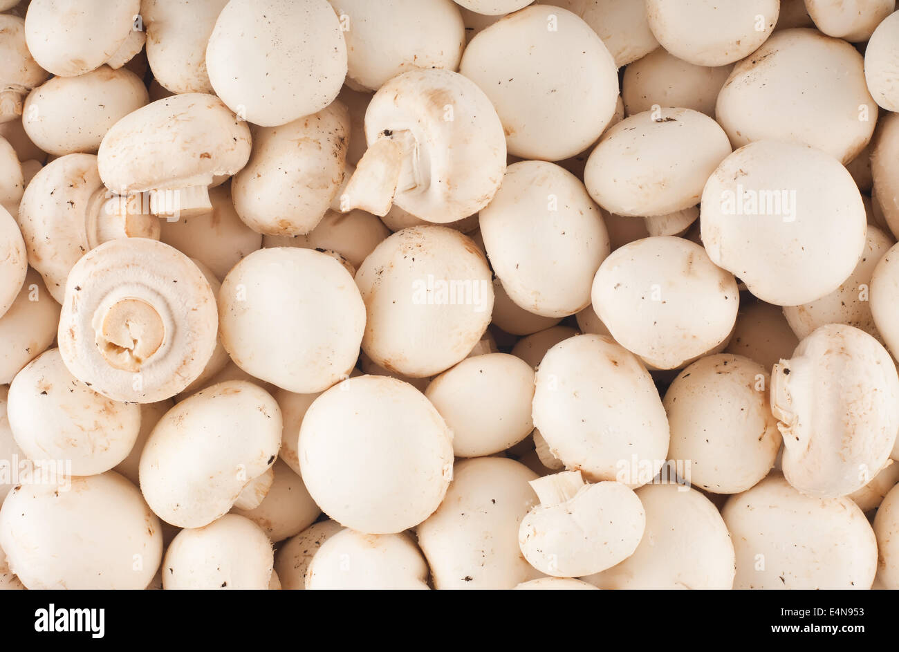 Background of fresh whole mushrooms Stock Photo - Alamy