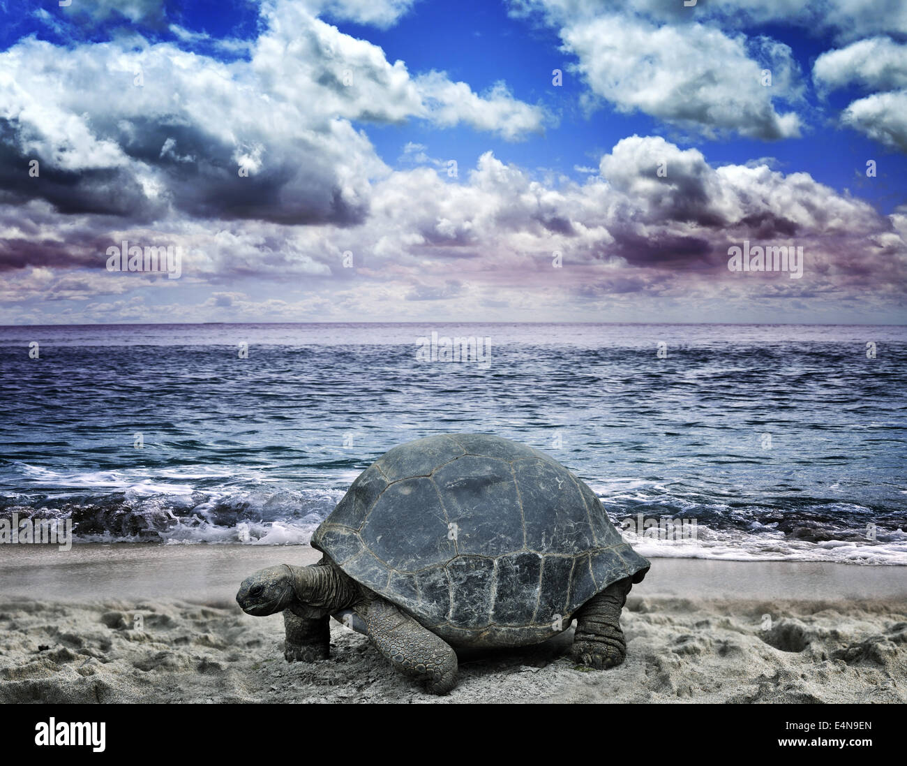Clouds turtle hi-res stock photography and images - Alamy