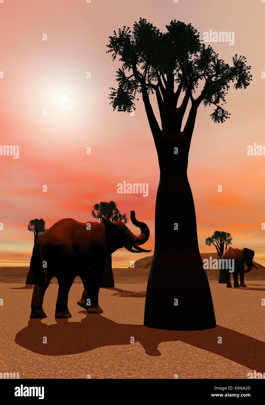 Elephants in the savannah Stock Photo - Alamy