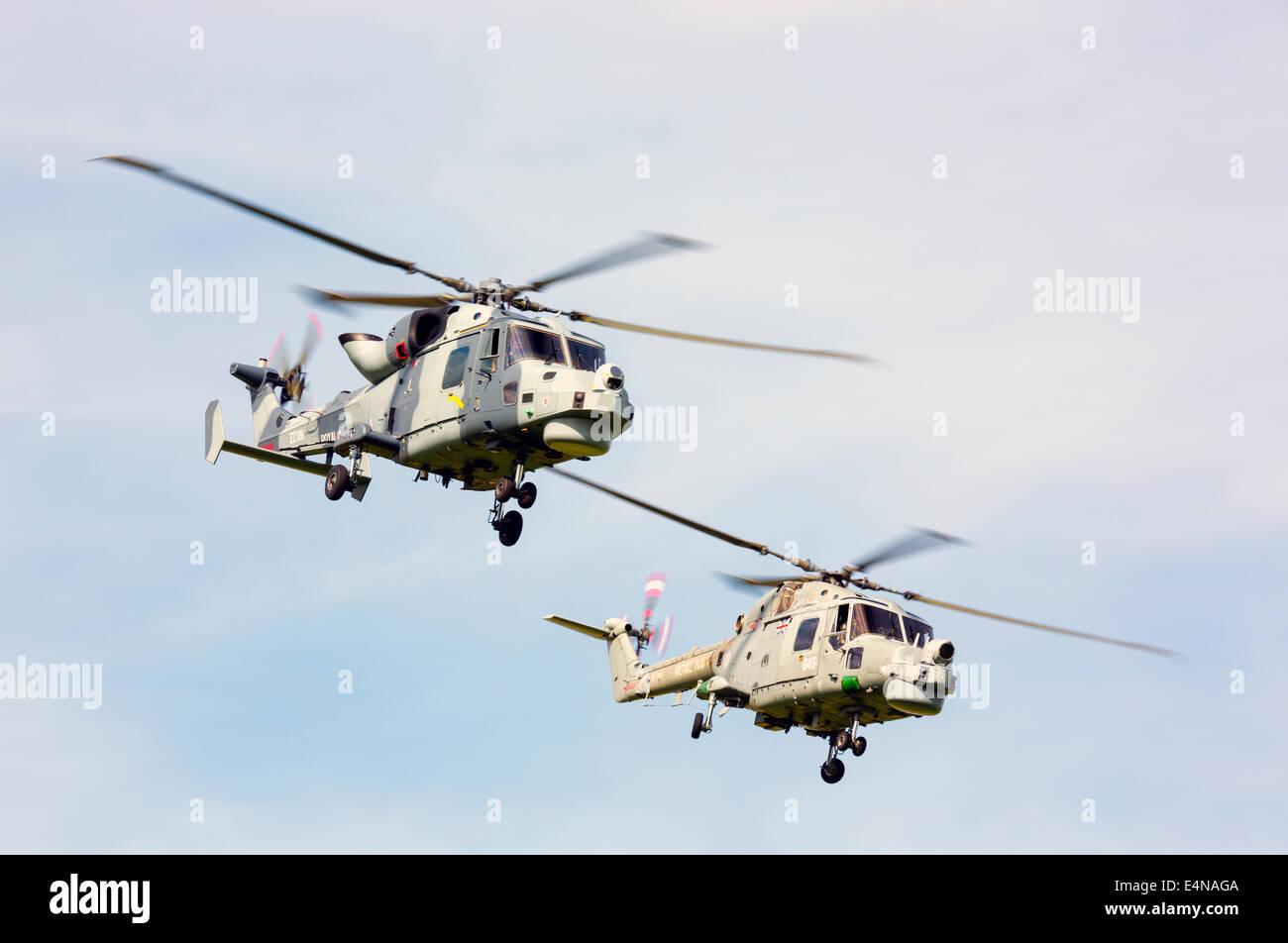 Wildcat ah 1 hi-res stock photography and images - Alamy