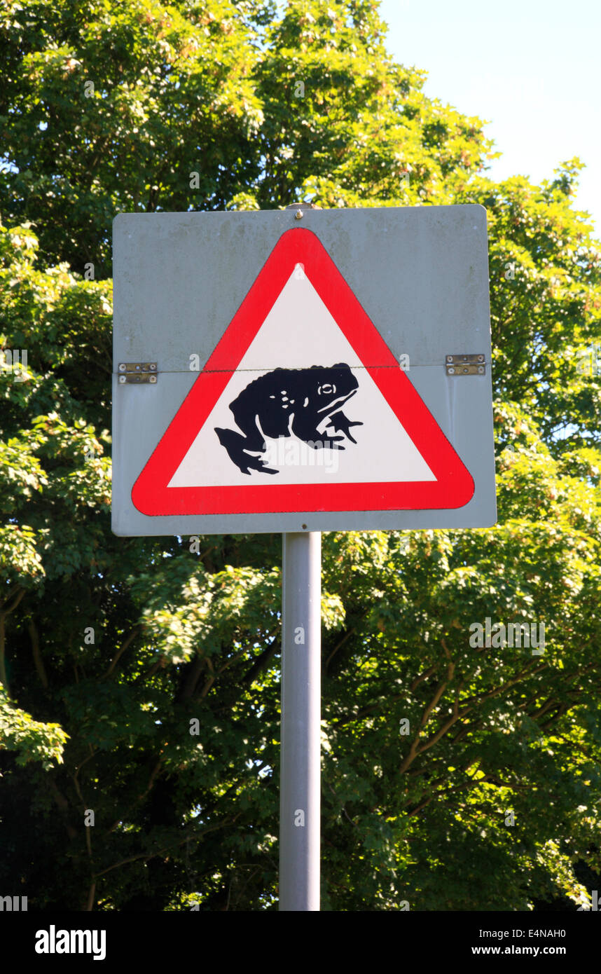 Road sign warning to beware of frogs and toads crossing at Briggate ...