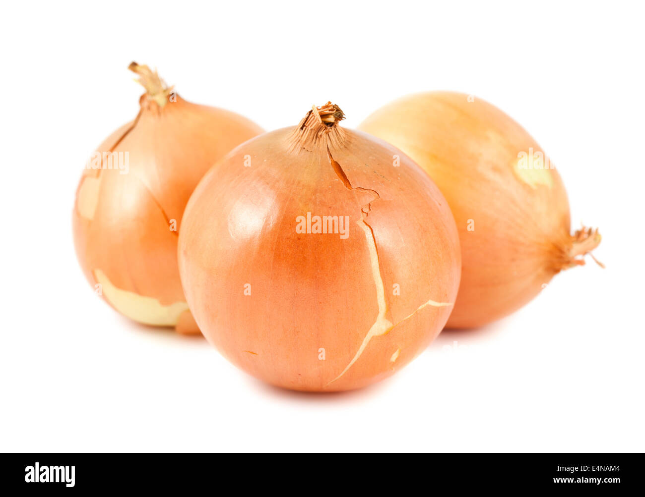 Three fresh onions hi-res stock photography and images - Alamy