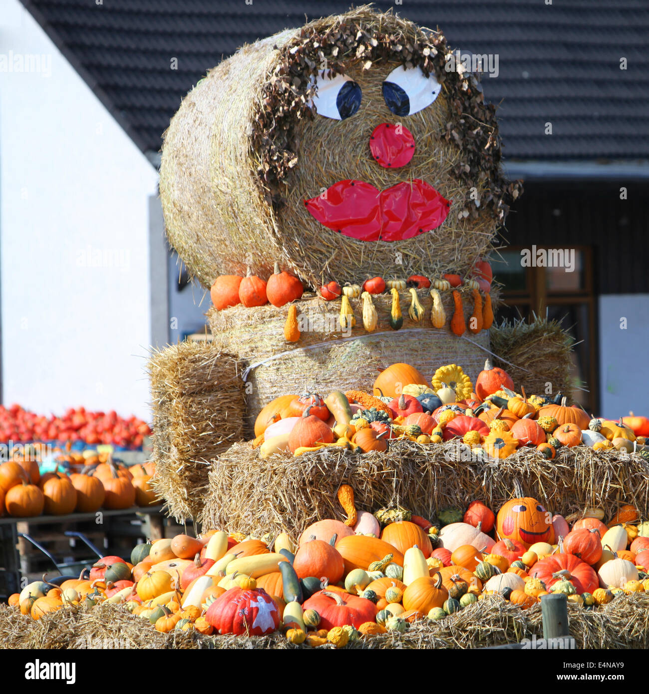 Hay on display hi-res stock photography and images - Alamy