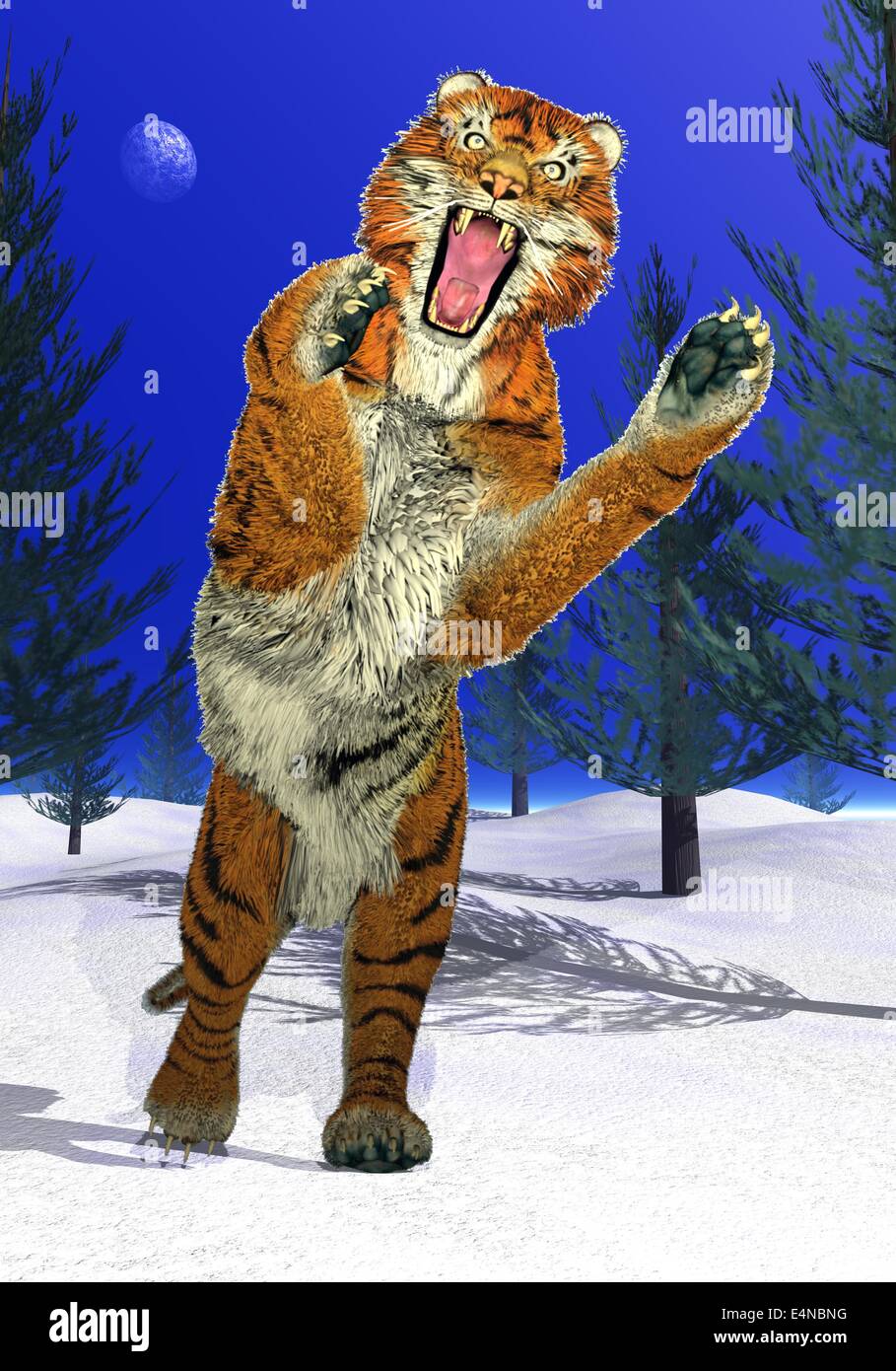 Moon tiger hi-res stock photography and images - Alamy