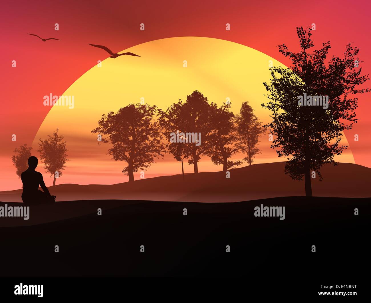 Human figure in nature hi-res stock photography and images - Alamy