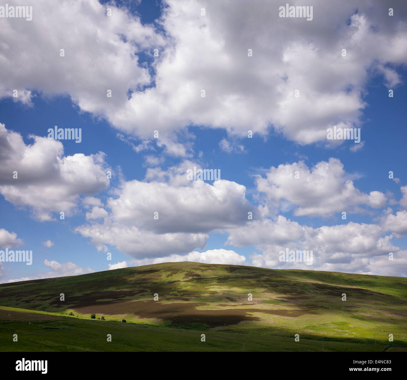 Scottish Border hillside and a cloudy blue sky. Scotland Stock Photo ...
