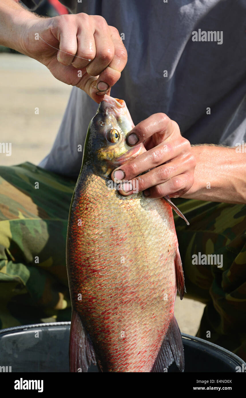 Fisherman and fish Stock Photo - Alamy