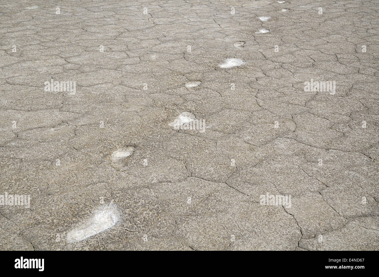 Salt of the earth hi-res stock photography and images - Alamy
