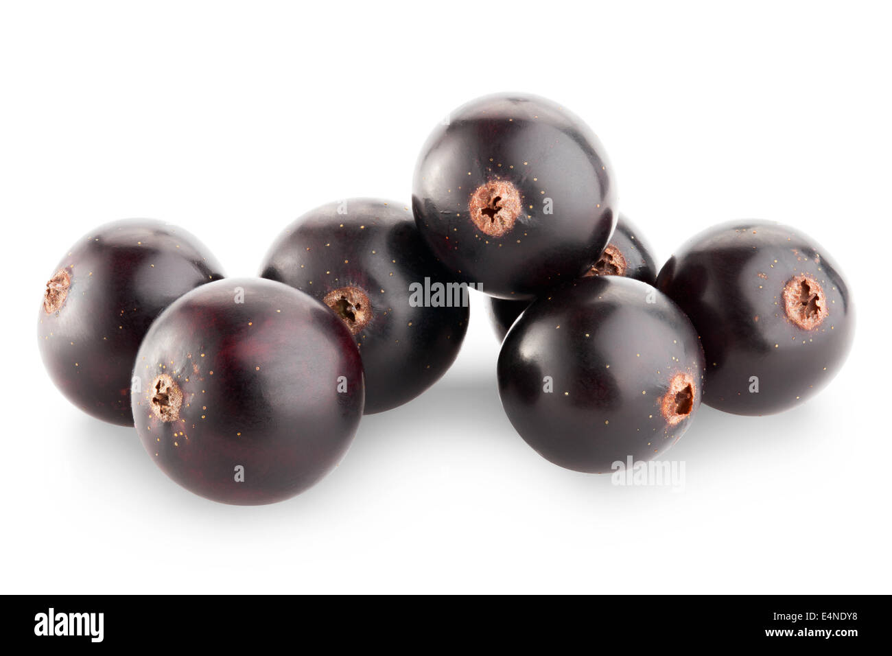 black currant isolated on white background. Clipping Path Stock Photo ...