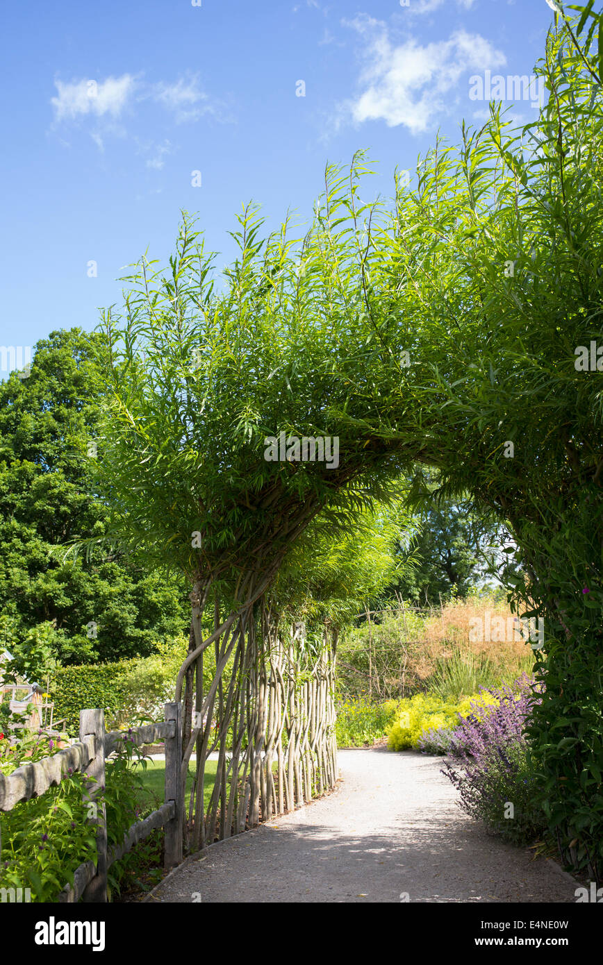 Willow Archway over garden path at RHS Harlow Carr. Harrogate, England ...