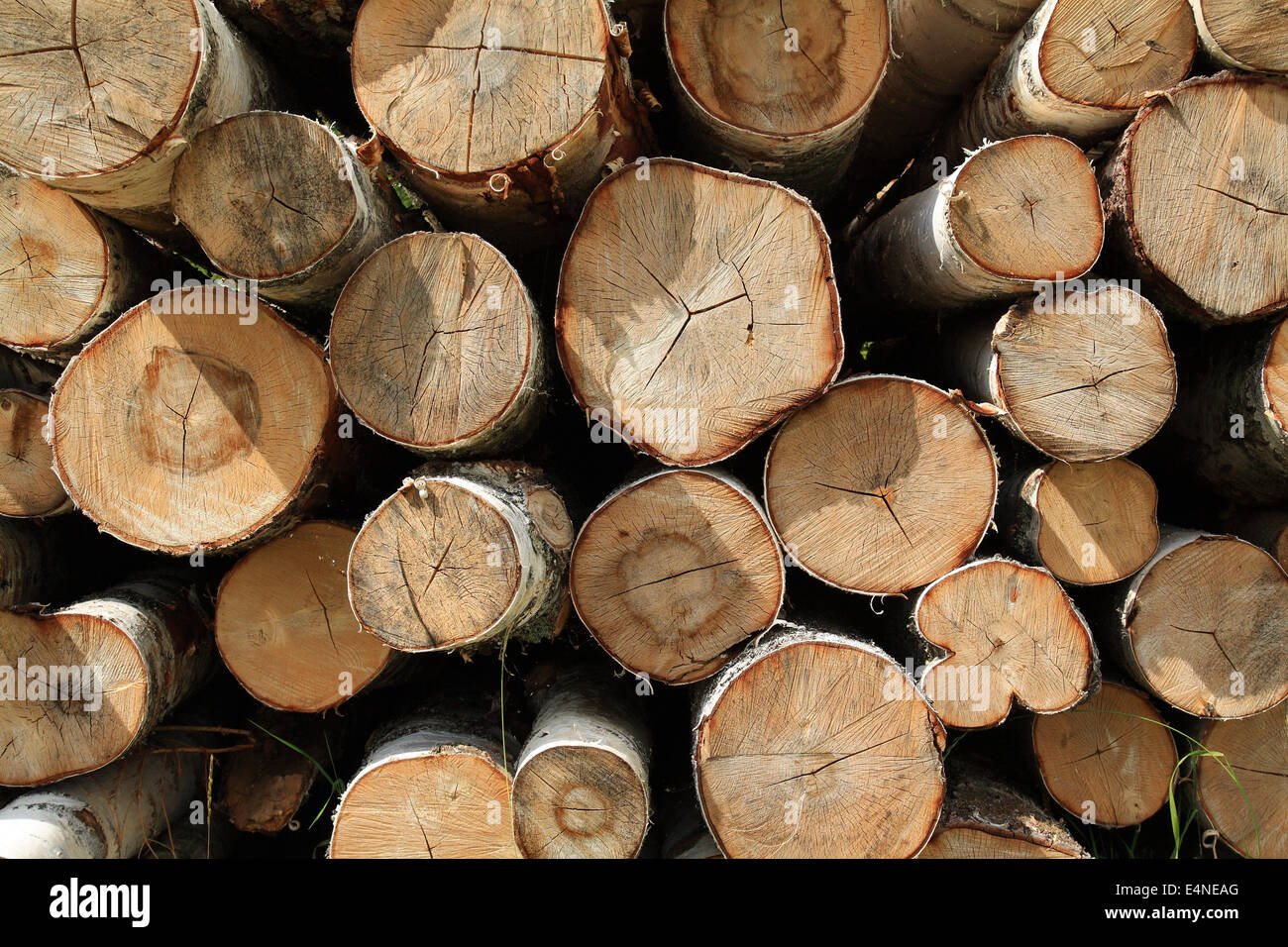 Rough hewn pine hi-res stock photography and images - Alamy