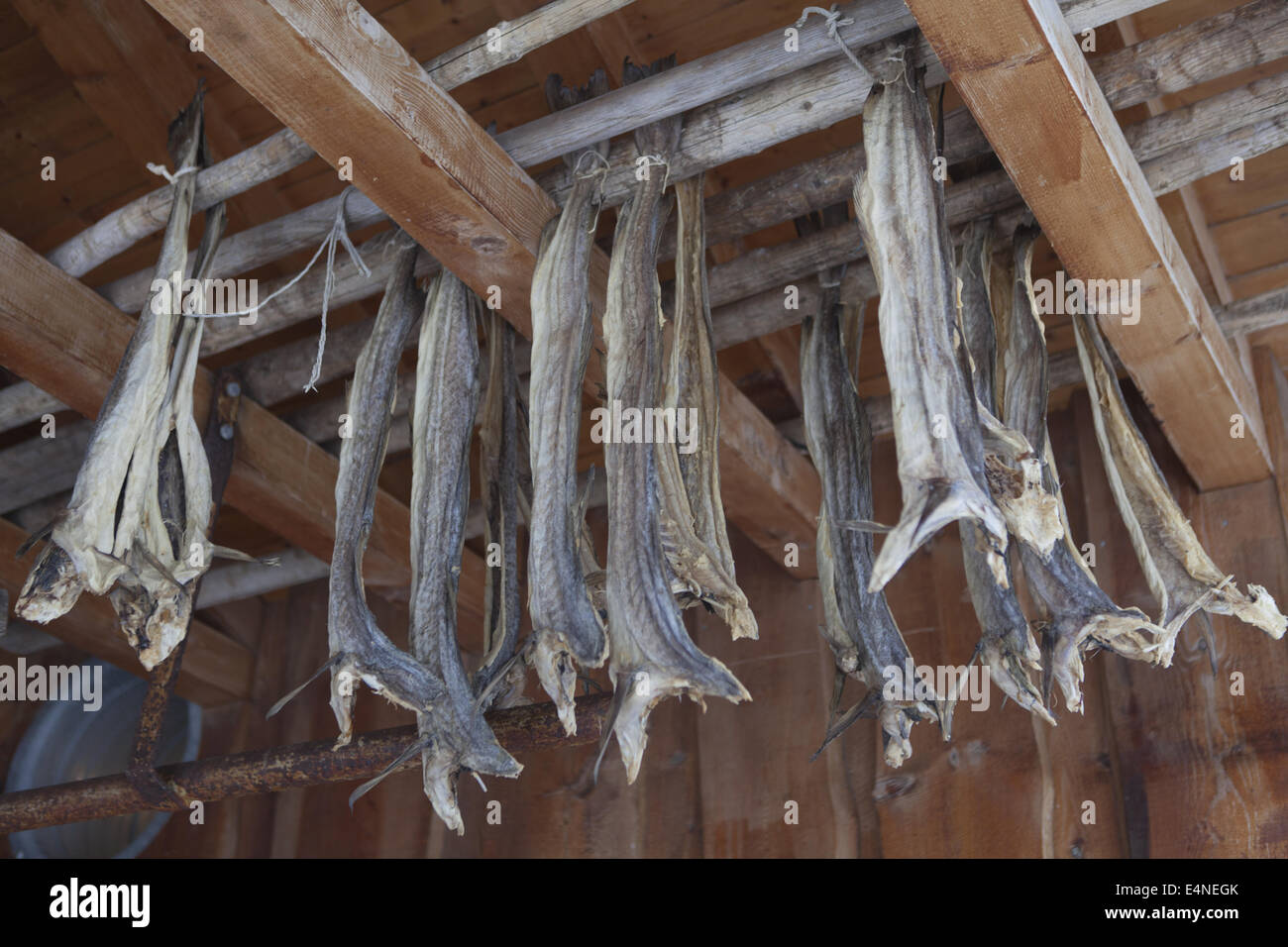Stockfish stockfisch hi-res stock photography and images - Alamy