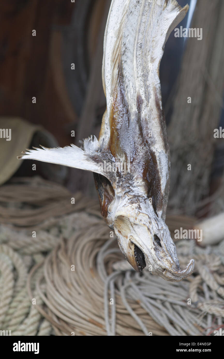 Stockfish stockfisch hi-res stock photography and images - Alamy
