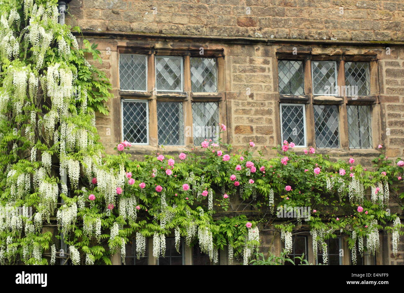 Rowsley peak district hi-res stock photography and images - Alamy