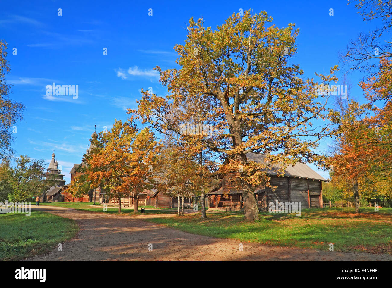 Remote yellow tree hi-res stock photography and images - Alamy