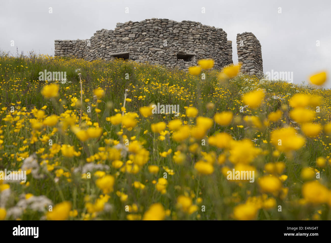 Borga Eggum, Lofoten Islands, Norway Stock Photo - Alamy