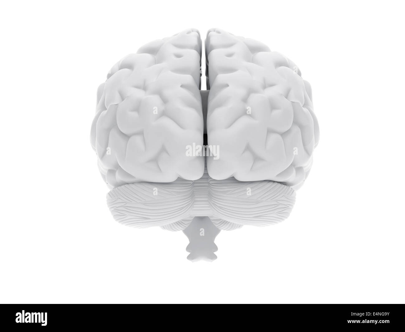 3d human brain Stock Photo - Alamy