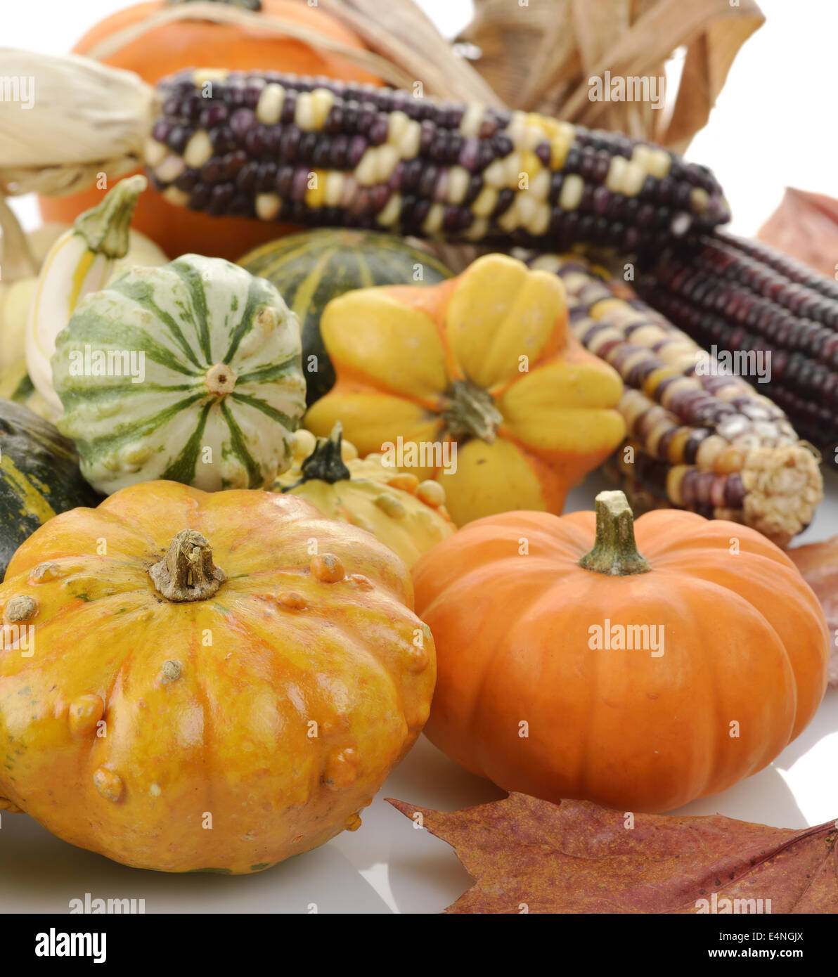 Pumpkin indian corn hi-res stock photography and images - Alamy