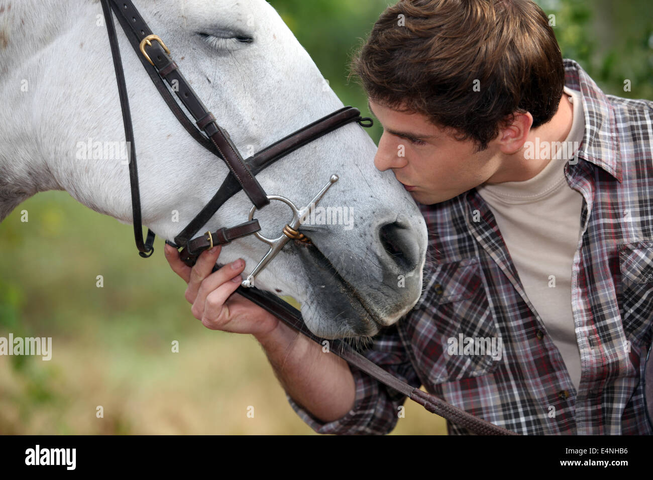 A man patting his horse Stock Photo - Alamy