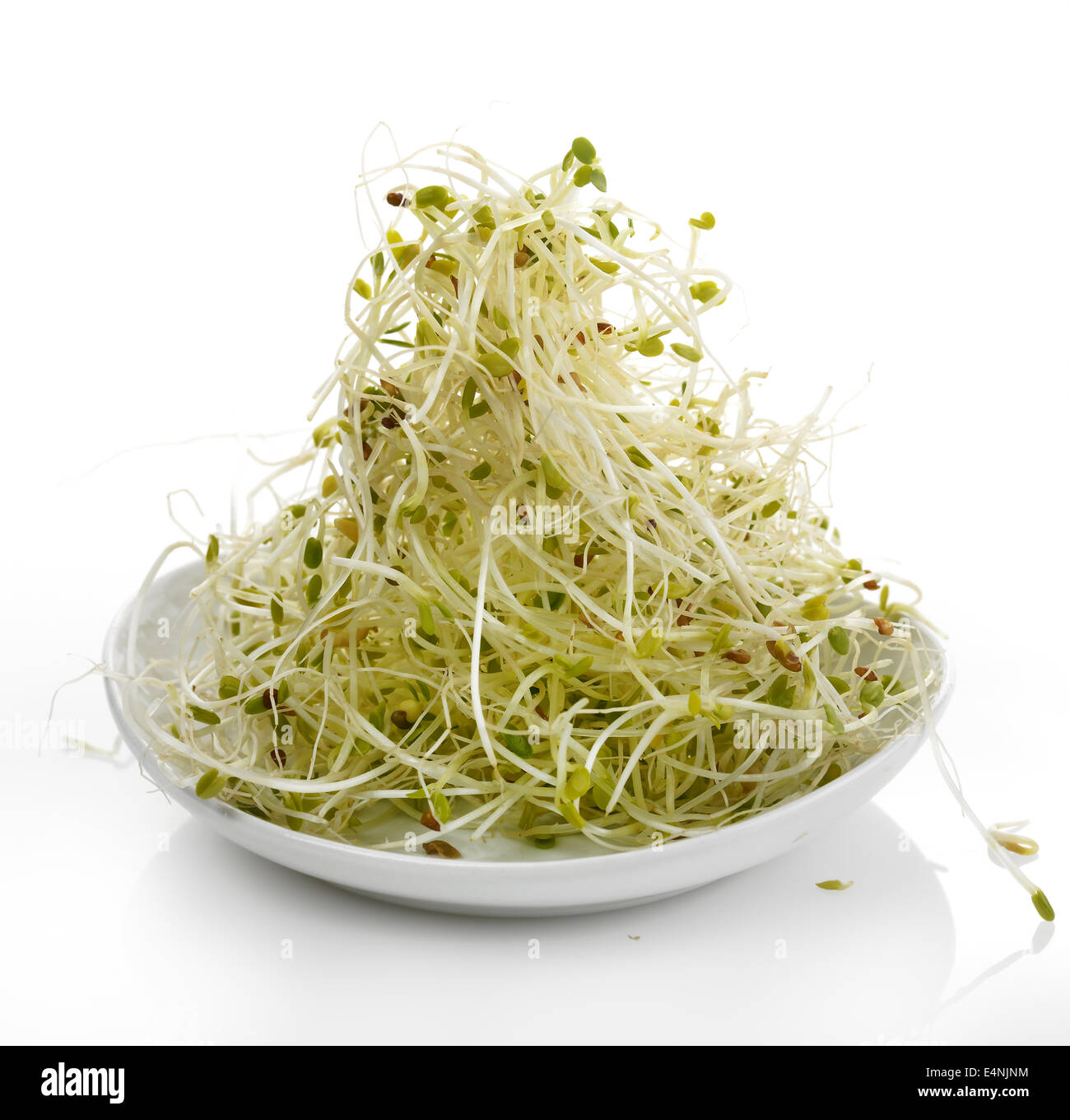Fresh Alfalfa Sprouts Stock Photo - Alamy