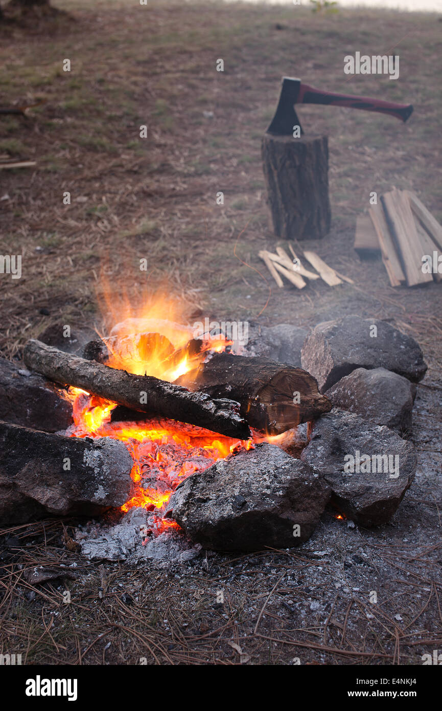 Bonfire in the forest Stock Photo - Alamy