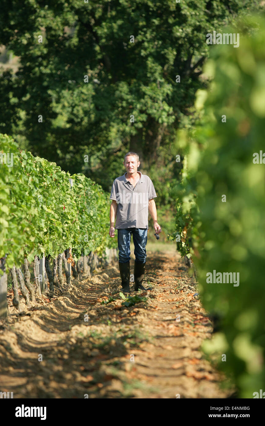 Man walking in vineyards hi-res stock photography and images - Alamy