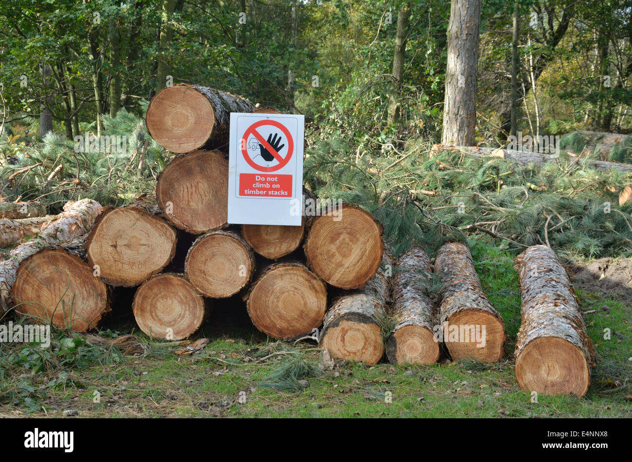 Danger log stack hi-res stock photography and images - Alamy