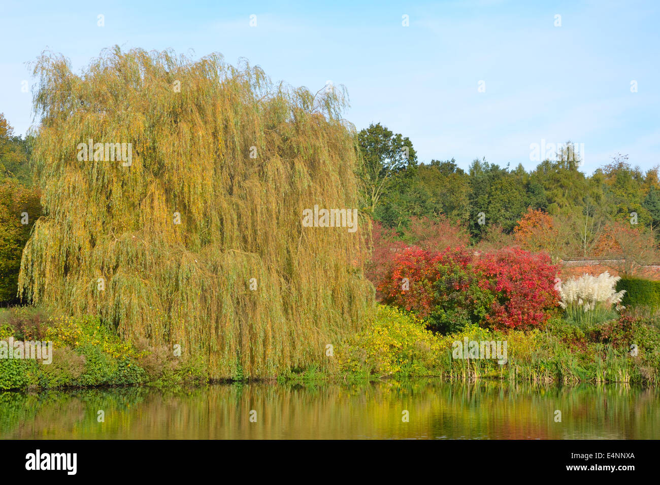 Pond side hi-res stock photography and images - Alamy