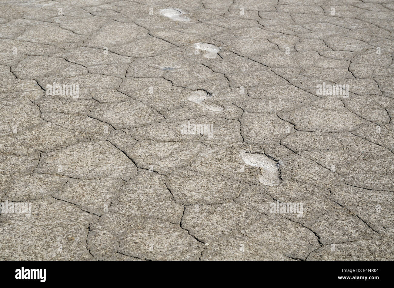 Dried salt ground Stock Photo - Alamy