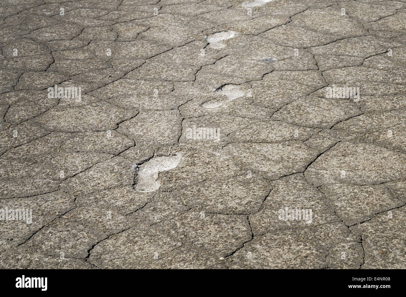 Footsteps in salt Stock Photo - Alamy